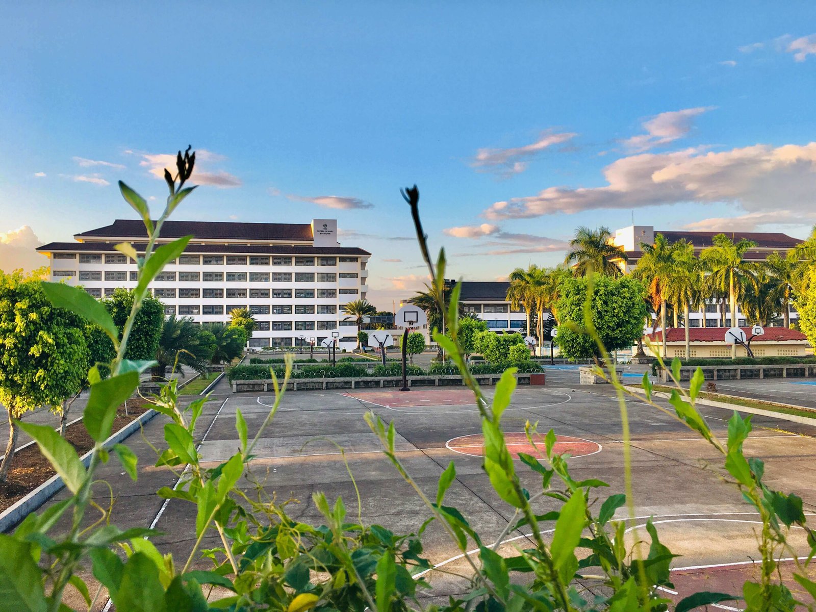 The Sisters of Mary Schools